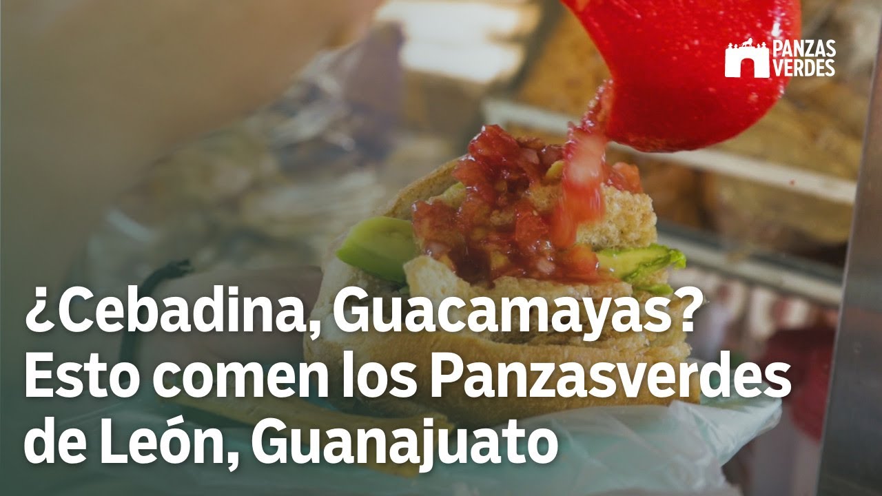 Barley, Macaws, Bear Broth? The food of León, Guanajuato | Panzasverdes 4: The Food