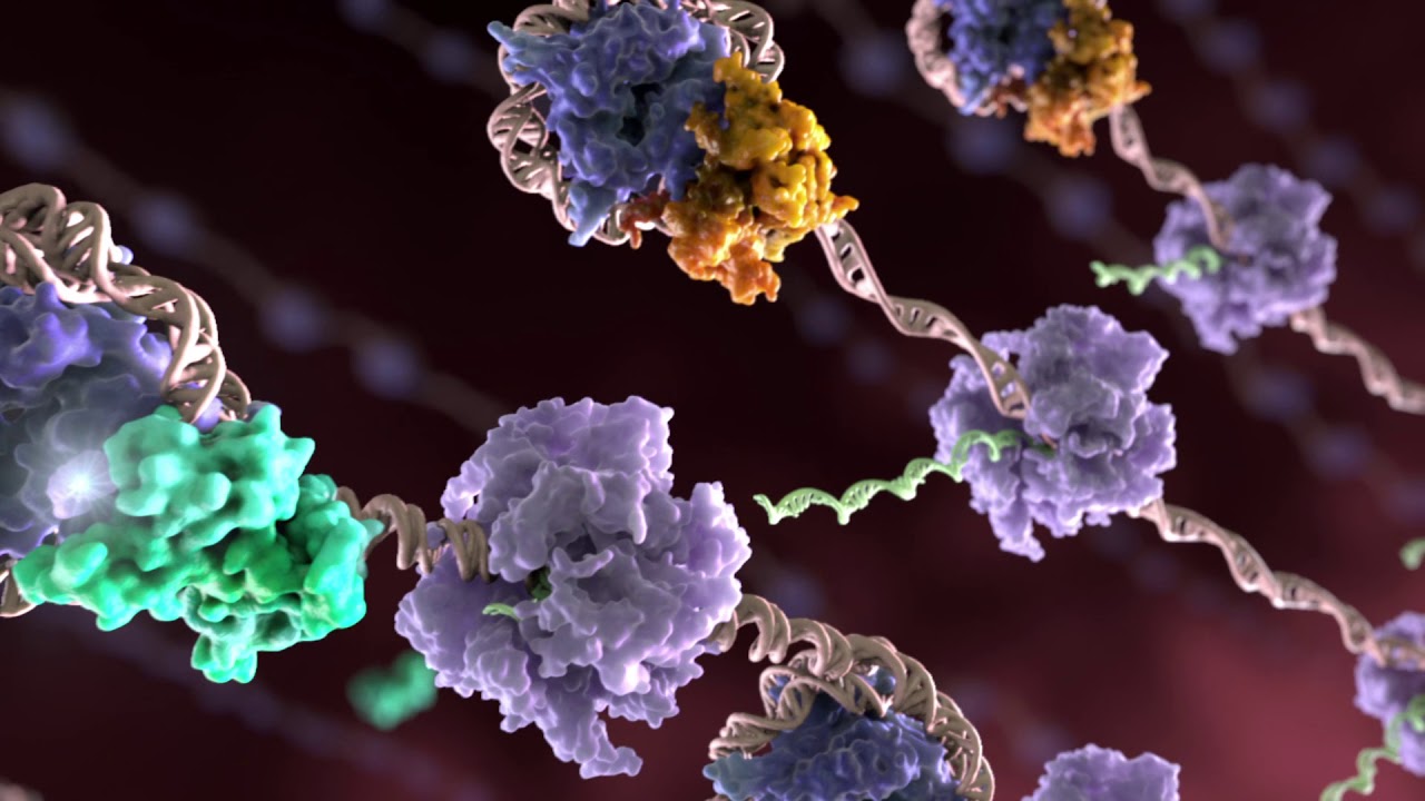 Small Molecule Therapies | MOA Animation