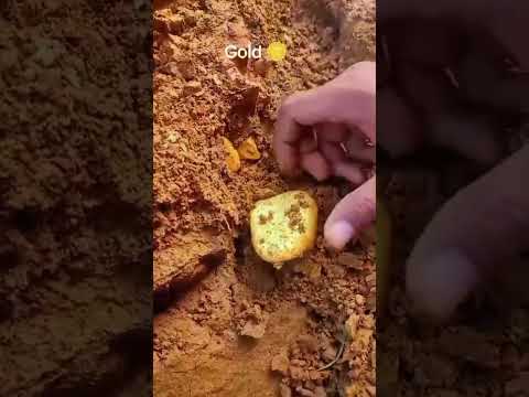 100% Real Gold Detector | Identify Metal and Gold with Phone at home | #golddetector #metaldetector