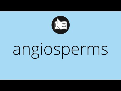 What ANGIOSPERMS means • Meaning of ANGIOSPERMS • angiosperms MEANING • angiosperms DEFINITION