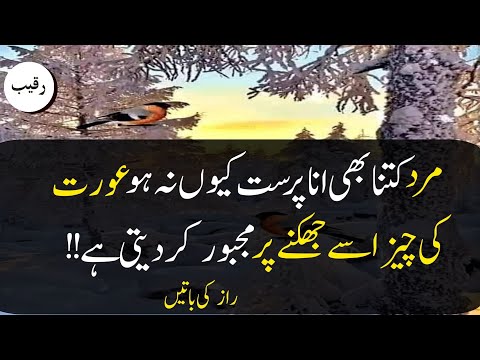 Mard kitna B Ana Parast Q Na Ho Aurat ki Ek|Precious Quotes in Urdu|RAQEEB
