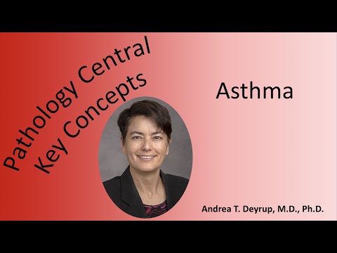Medical School Pathology: Pathophysiology of Asthma