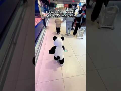 That's a running panda! 😂😂 #baby #babywalk #babycostume #costume