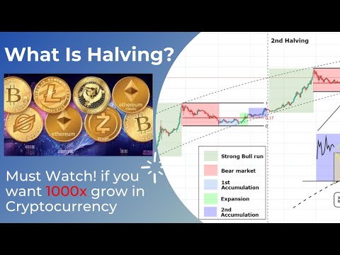 What is Bitcoin Halving? Explain With Full Detail in Hindi/Urdu | Crypto Shahzada
