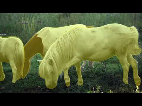 GitHub - levipereira/deepstream-yolov9: Implementation of Nvidia DeepStream 7 with YOLOv9 Models.