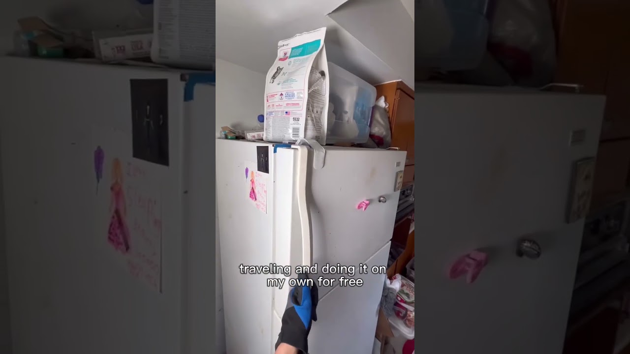 FREE Level 2 Hoard cleaning!
