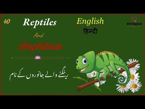 Reptiles and Amphibian Names with Urdu Meaning |رینگنے والے جانوروں کے نام اردو معنی کے ساتھ