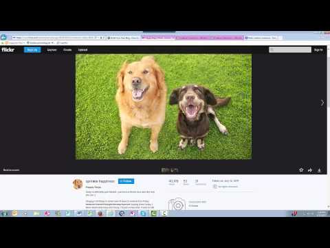 Find Free Blog Photos on Flickr