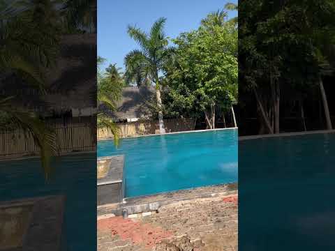 Diving na இப்படி தான் இருக்கணும்🏊🏽♂️🔥 #swimming #tamil #learnswimming #swimmer #trendingshorts