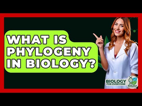 What Is Phylogeny In Biology? - Biology For Everyone