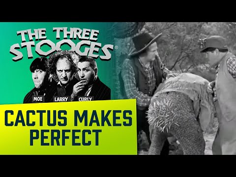 The THREE STOOGES - Ep. 61 - Cactus Makes Perfect