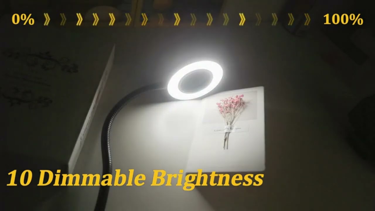 Lámpara de pinza para escritorio