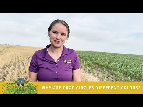 Agent X | Why are crop circles different colors?