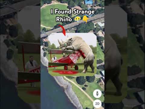 I Found Strange Rhino πΆβπ«οΈ on google maps and google earth π #shorts #r2earth2m