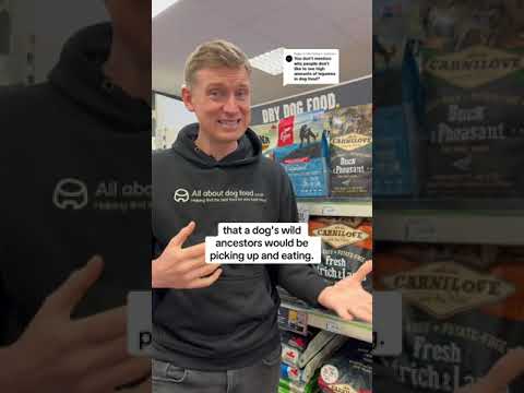 Are LEGUMES BAD for your DOG? - AADF #LegumesInDogFood #AllAboutDogFood