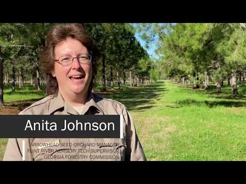 Anita Johnson Employee Profile