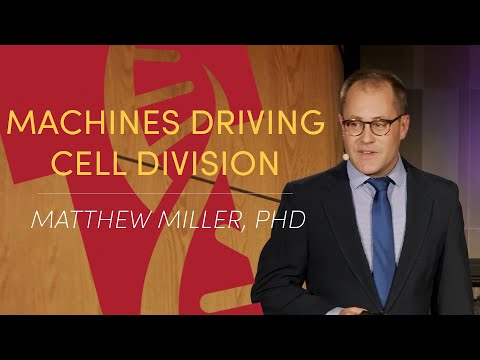 Understanding the Remarkable Protein Machines that Drive Cell Division