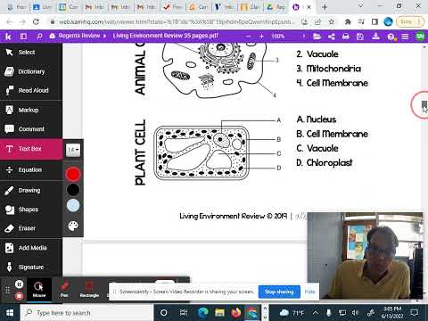Living Environment Explanation of the 35 page review packet: Jun 13, 2022 3:46 PM