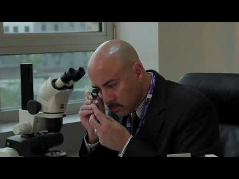 Romantique Jewelers- Antwerp Diamonds