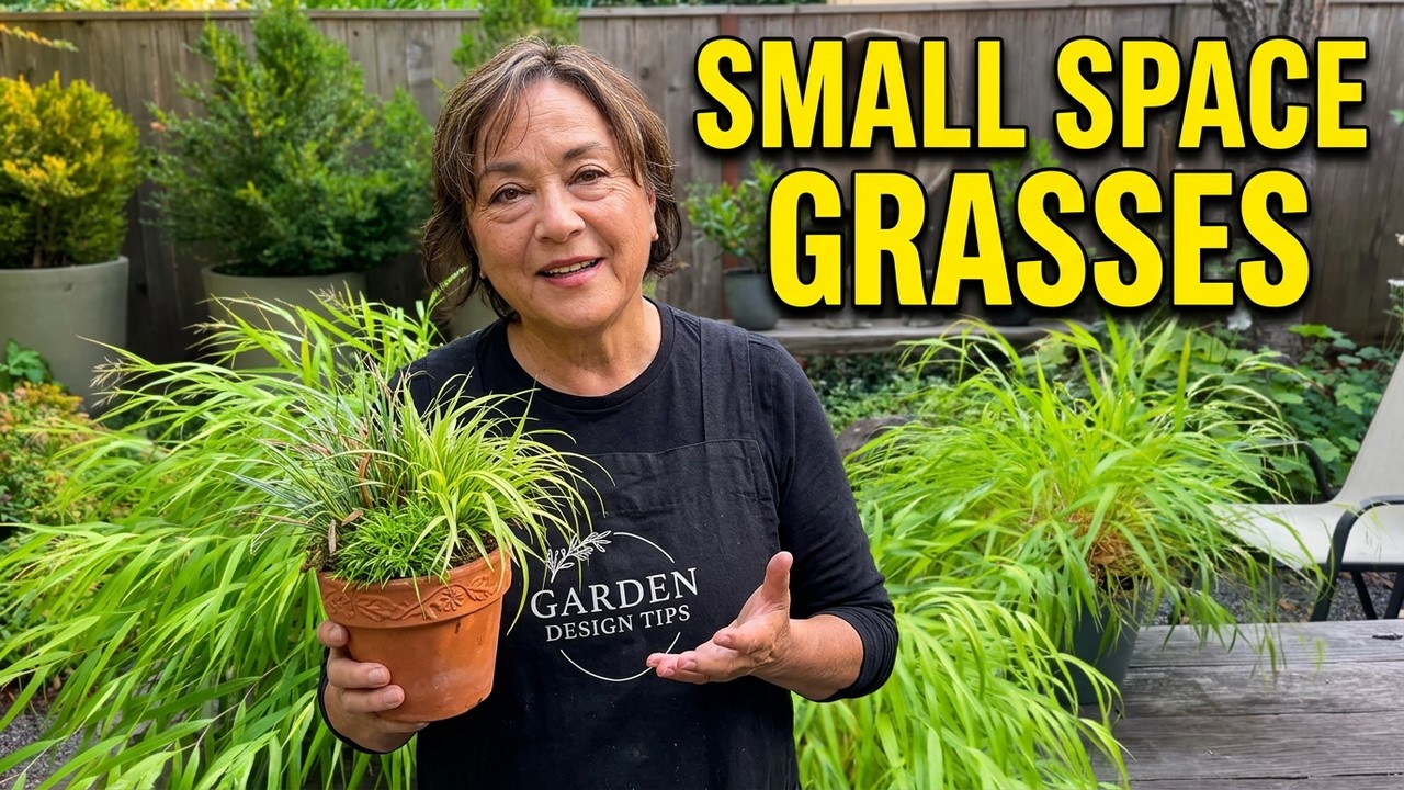 The ONLY Ornamental Grass That Earns A Spot in My Small Garden