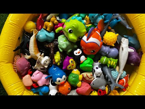 Sea Animal Toys for Kids & Preschoolers: Learn Animal Names & Facts| Learn sea animals Names, Facts