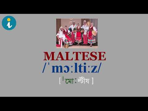 Pronunciation of Maltese | The Demonym of Malta