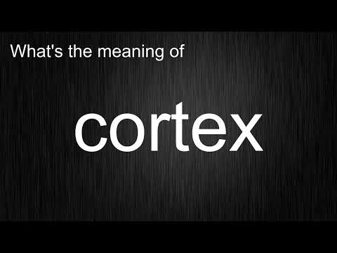 What's the meaning of "cortex", How to pronounce cortex?
