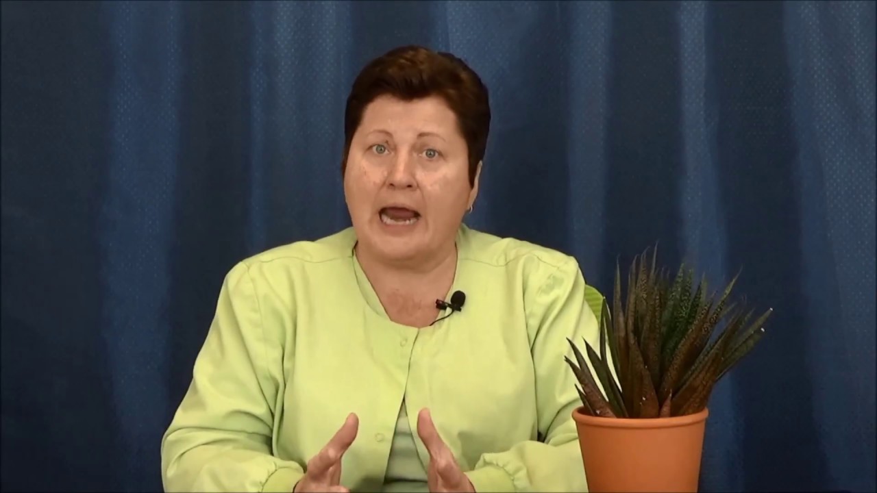 Holistic Biological Dentist NJ Holistic Dentistry Myth 4:All Holistic Dentists Are the Same