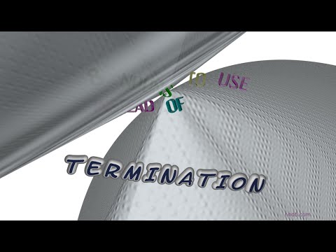 termination - 9 nouns having the meaning of termination (sentence examples)