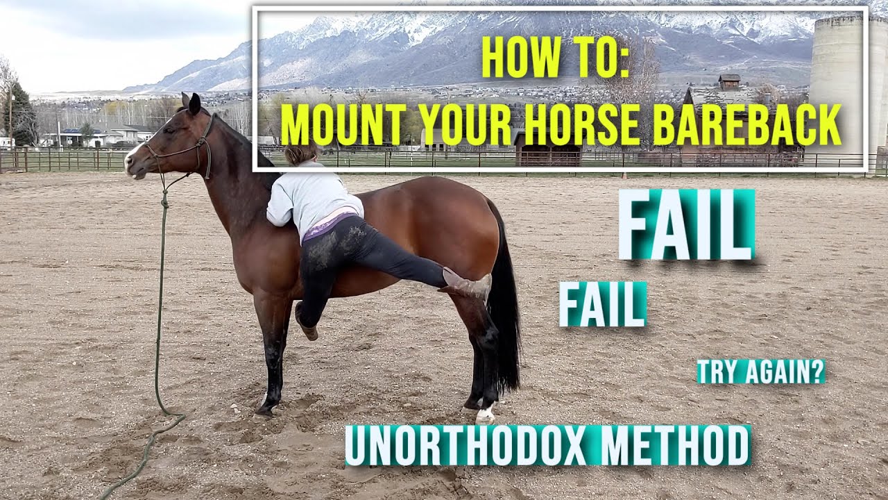 How I Mount my Horse Bareback