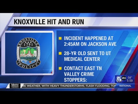 Knoxville Hit and Run