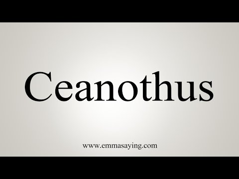 How To Say Ceanothus