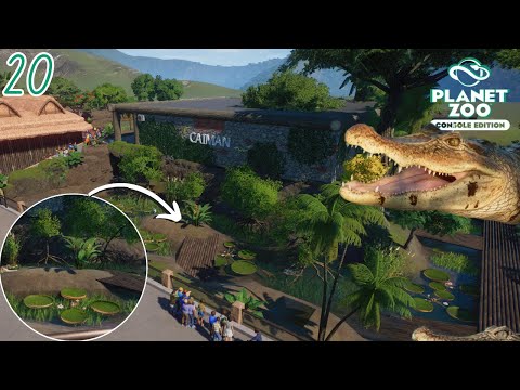 Building a spectacular SPECTACLED CAIMAN Exhibit | Planet Zoo Console Edition Franchise Mode