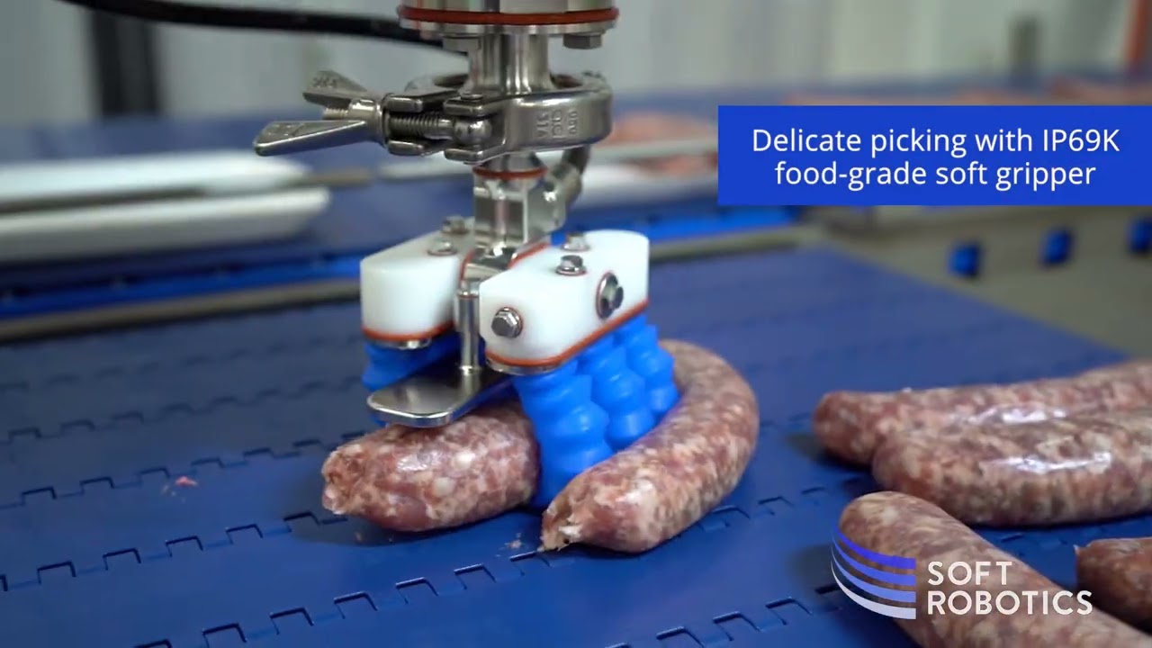 Magnetic Gel Capsules Could Advance Both Robotics and Medicine ...