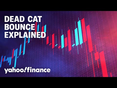 Stock rally: Is it a dead cat bounce?