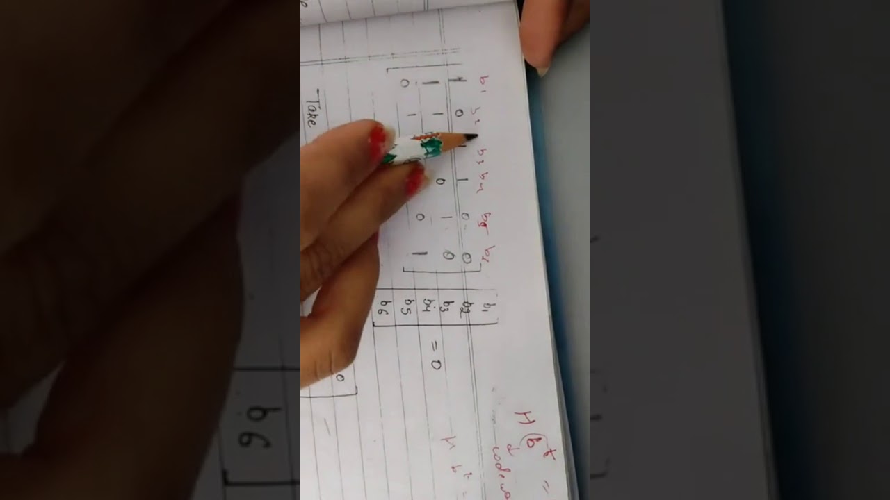 Lect-08(algebraic coding theory)