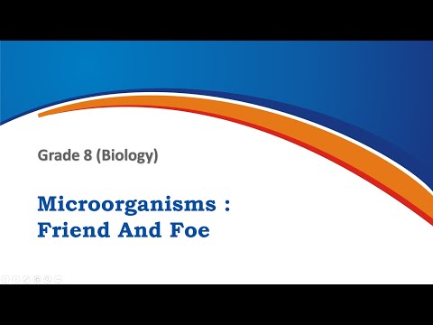 Microorganism Science Worksheet Class 8 - PDF Download | EduSri