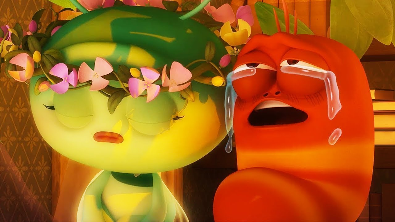LARVA - YOUNG LOVE | Cartoon Movie | Videos For Kids | Larva Cartoon | LARVA Official
