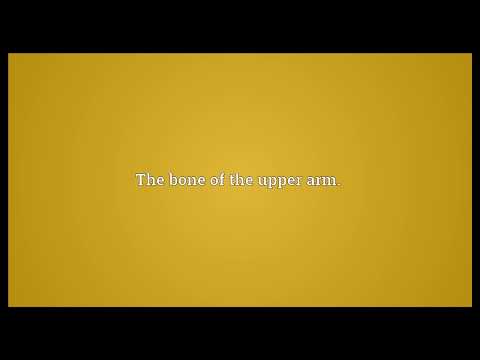 Humerus Meaning