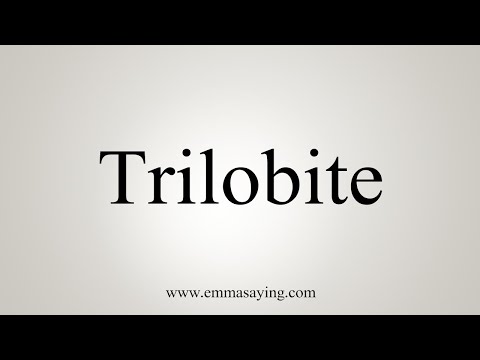 How To Say Trilobite