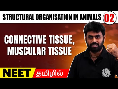 Connective Tissue | Structural Organisation In Animals 02 | Zoology in Tamil | Class11/ NEET
