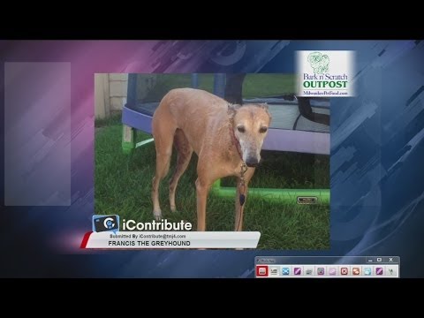 Scott's Pet Pics, Feb. 26