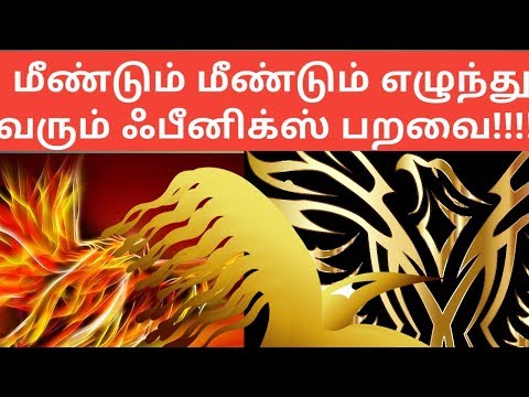 இதுவரை கேள்வி பட்டிராத உண்மை part 3/உயிரோடு வரும் ஃபீனிக்ஸ் பறவை | Phoenix bird / Tamil Display