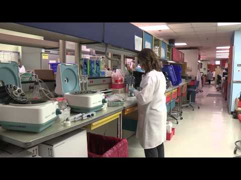 The life of a pathologist – Everything about Pathology