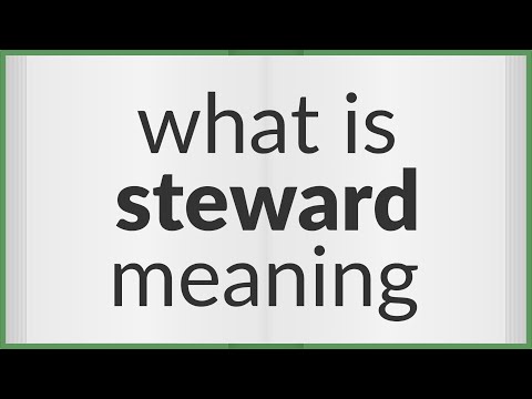 Steward | meaning of Steward
