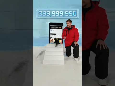 Can I Teach a Penguin To Subscribe????????? | mrbeats #shorts #trending #youtubeshorts