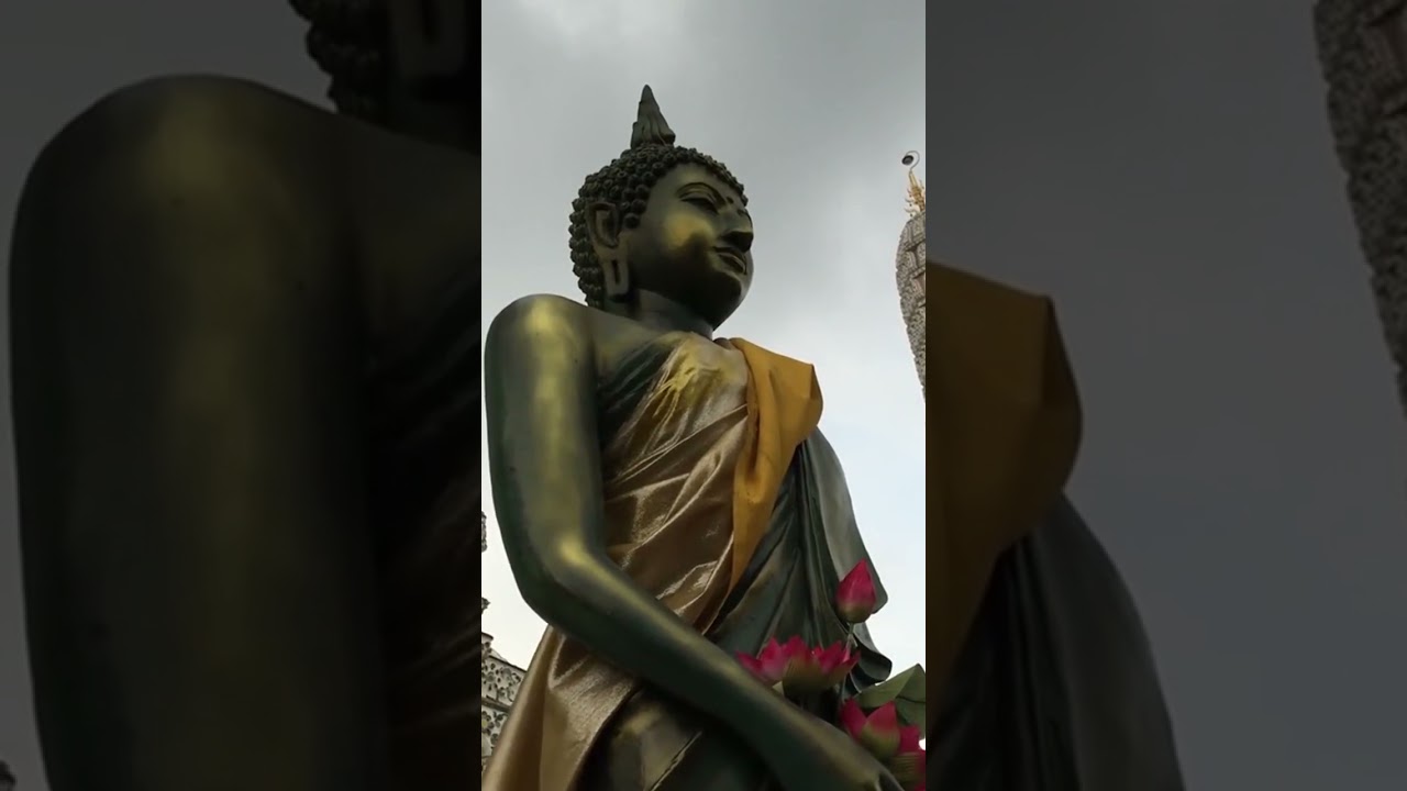 Koji And The Tea Cup | Lessons In Wisdom