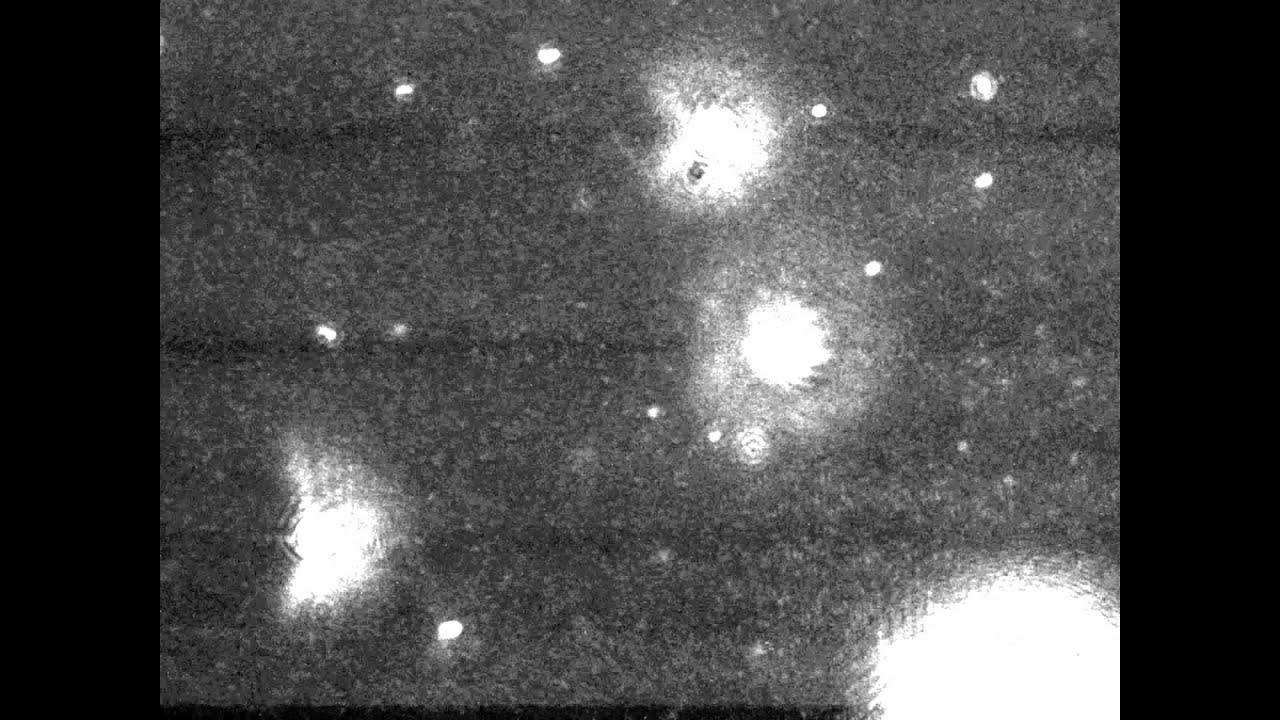Exosomes Scatter - Nanoparticle Tracking Analysis