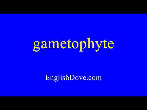 How to pronounce gametophyte in American English