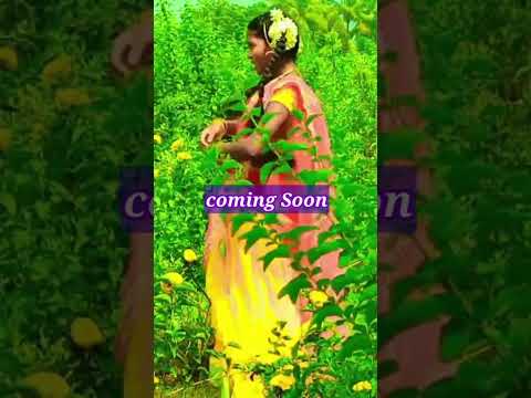 Lovely Sai videos Amman Kovil Vasalile song video coming soon❤️❤️